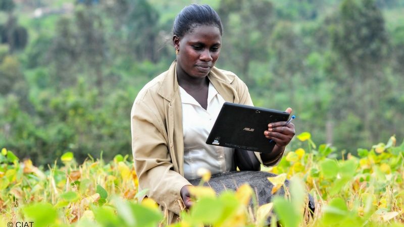 ICRW accepting nominations for 2020 Paula Kantor Award - ICRW