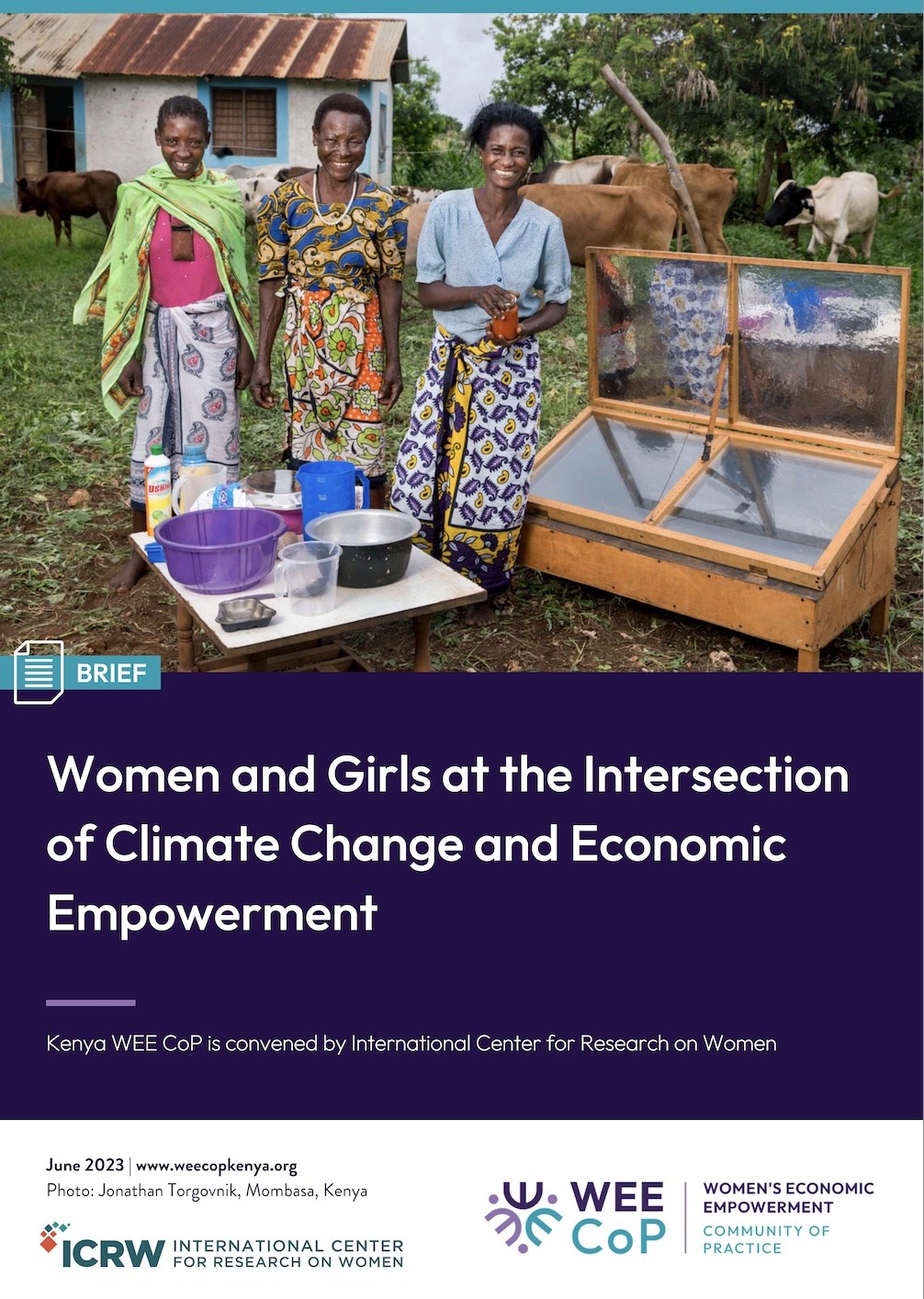 Women and Girls at the Intersection of Climate Change and Economic ...